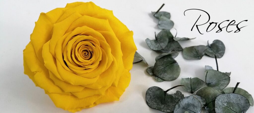 Preserved rozen - Flowex