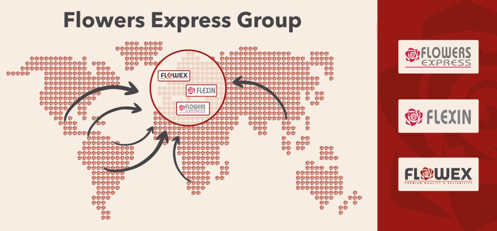 Team Flowex - Flowex