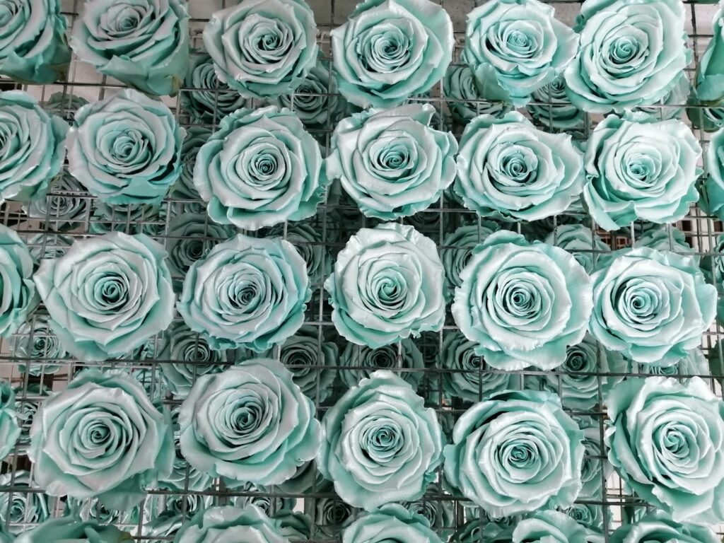 Supplier in the spotlight: RoseAmor preserved roses - Flowex