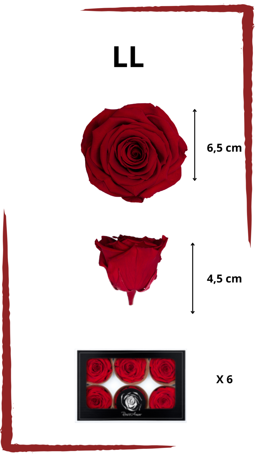 RoseAmor products - Flowex