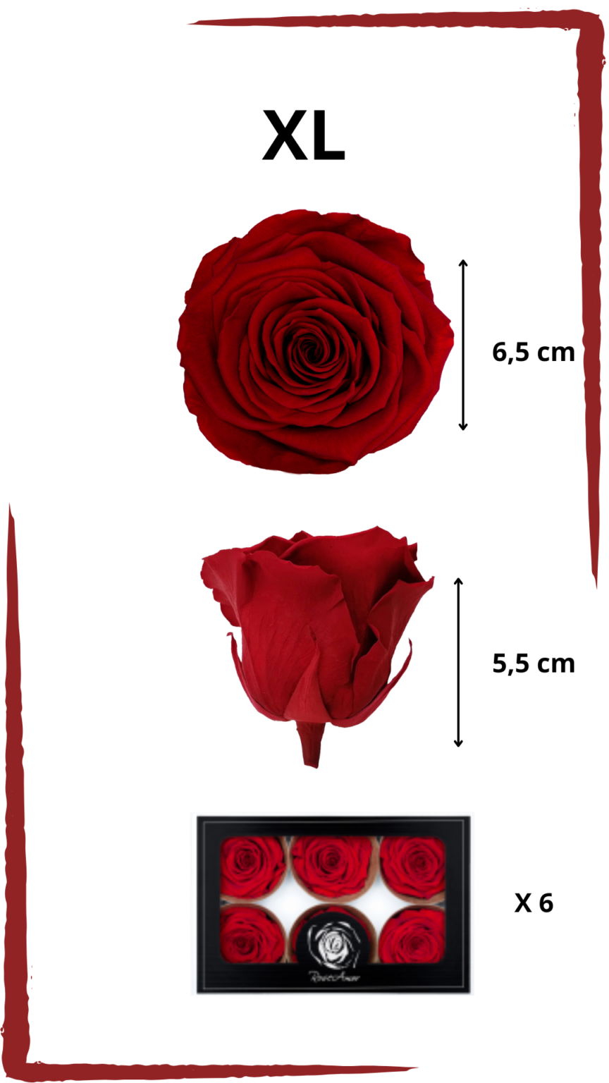 RoseAmor products - Flowex